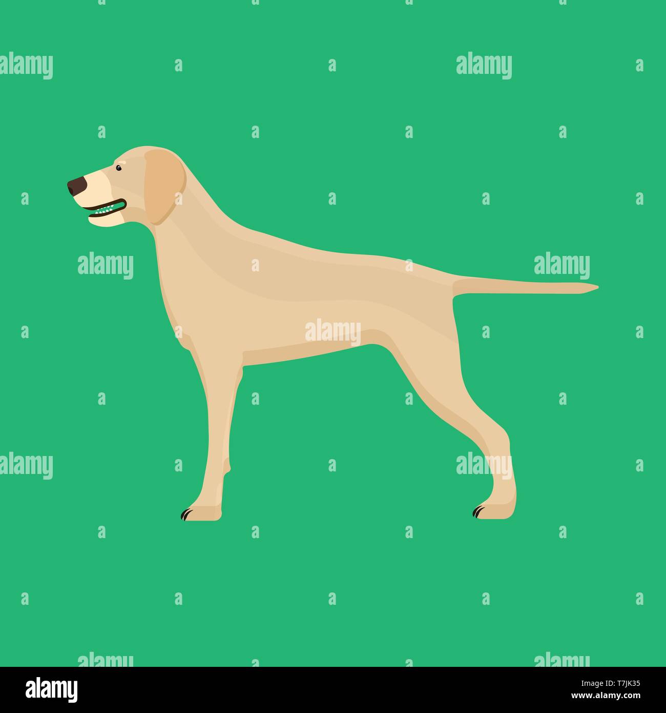 Dog labrador animal pet vector icon side view. Isolated puppy cute ...
