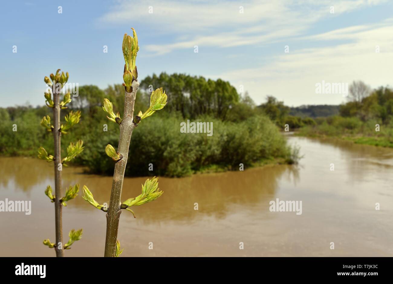 Meanders hi-res stock photography and images - Alamy