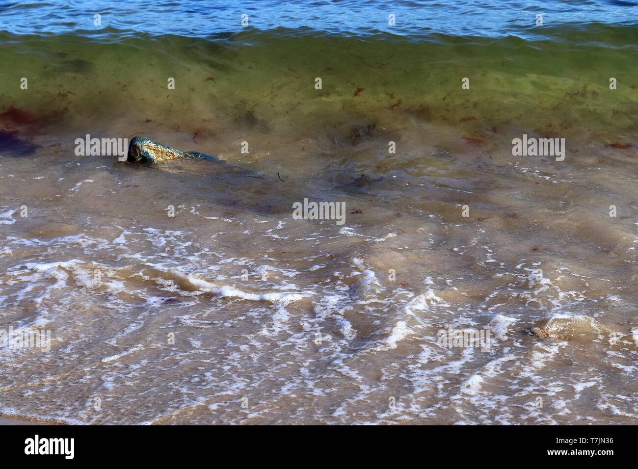 Close up surface of floating water with ripples and waves and some ...