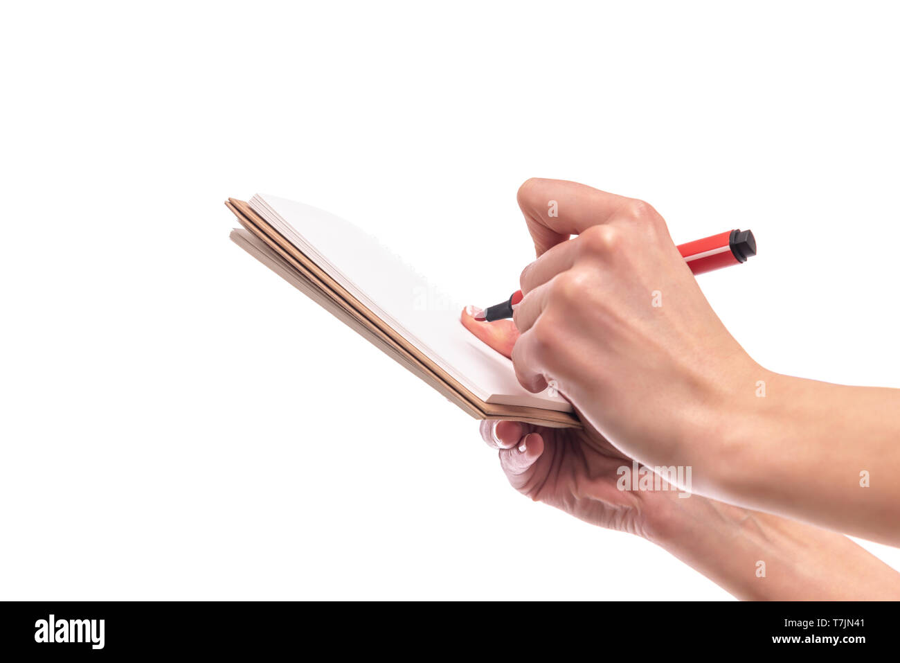 Female hands hold notebook and pen on a white background Stock Photo ...
