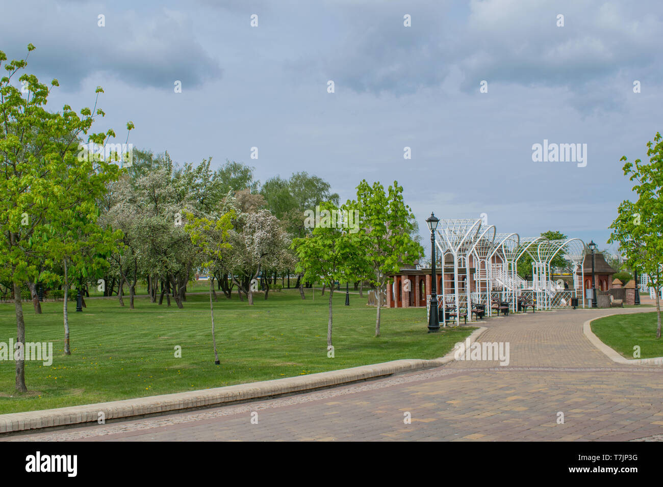 paths in a spring park landscape against a blue sky and green trees ...