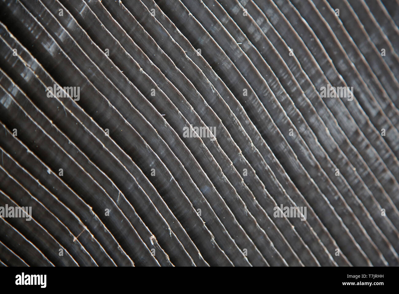 Groenlandse Walvis; Bowhead Whale Stock Photo - Alamy
