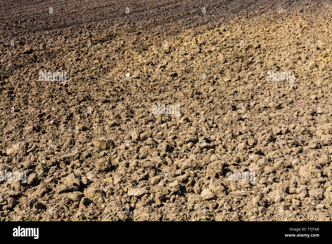 Soil texture hi-res stock photography and images - Alamy