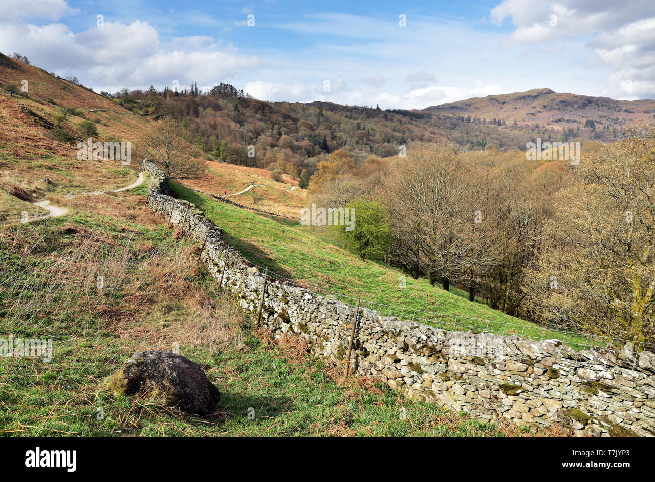 Grasmere rydal water ambleside path hi-res stock photography and images ...
