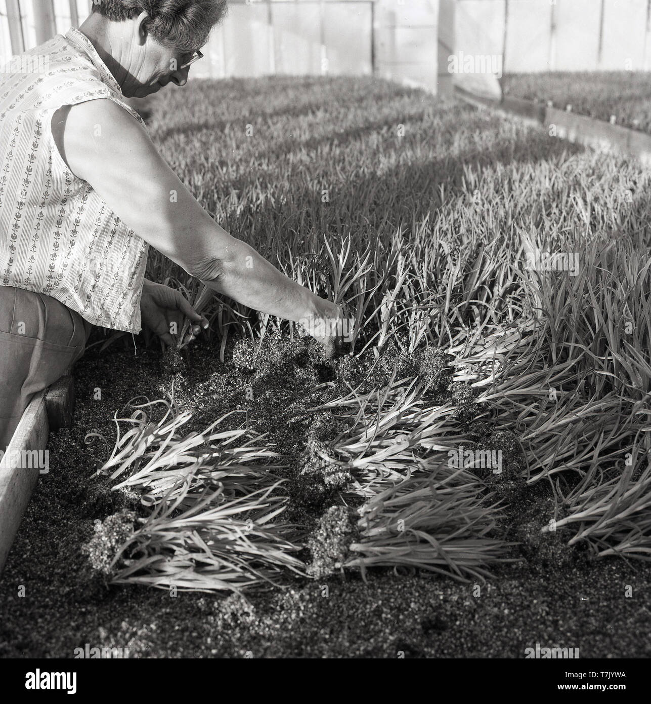 1950s woman black and white garden hi-res stock photography and images ...