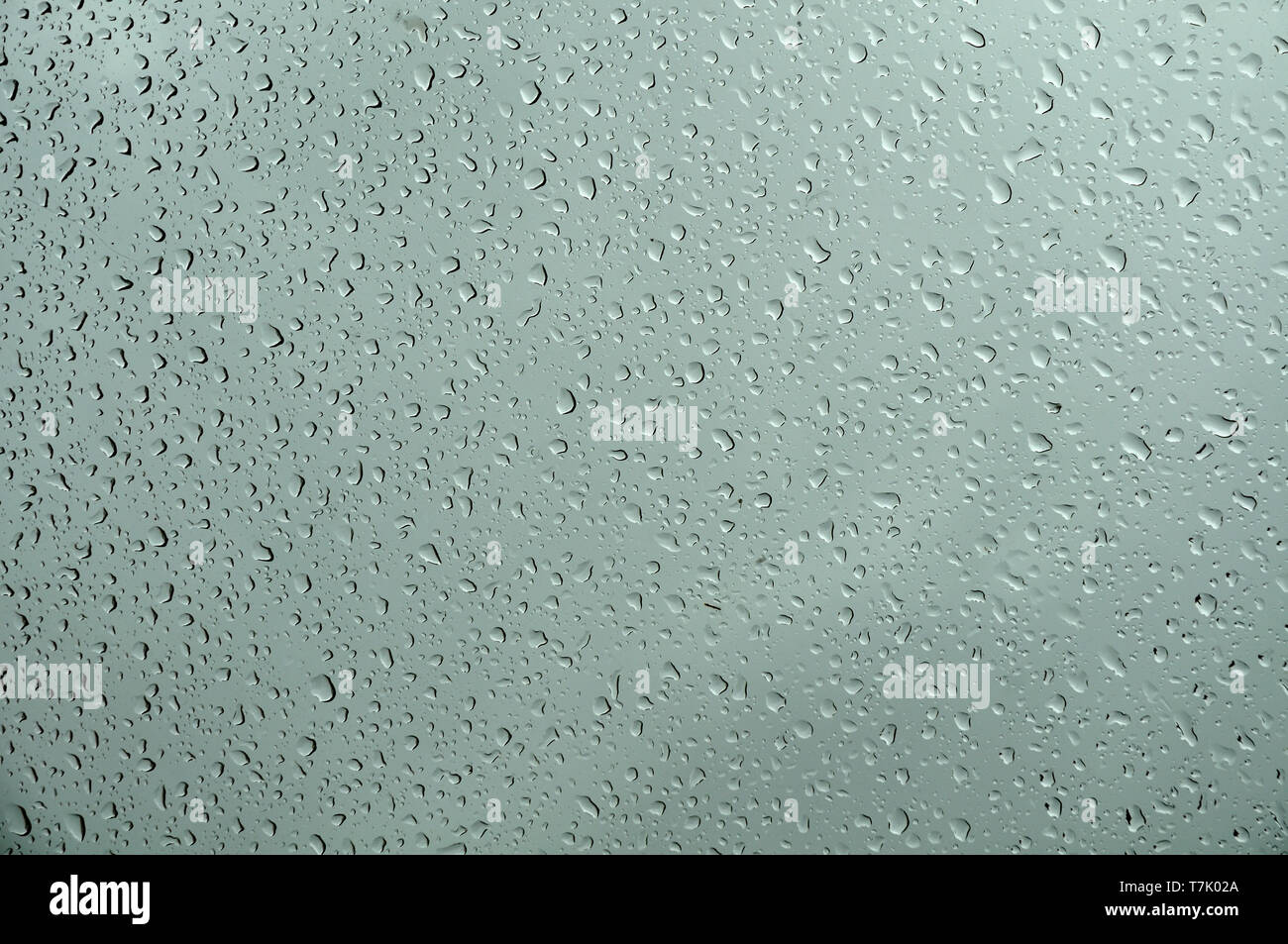 close-up of water drops on glass porch of a building on rainy day Stock ...