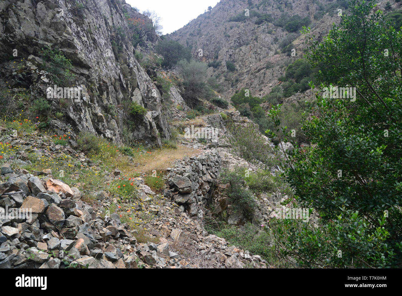 Miners path Way of Silver Stock Photo - Alamy