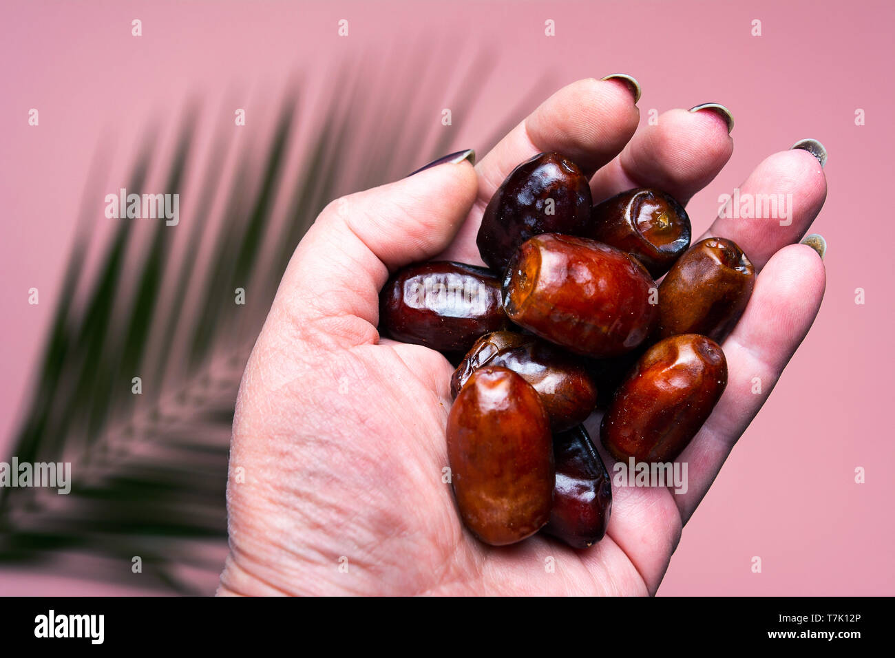 Hand holding date fruits first person view Stock Photo - Alamy