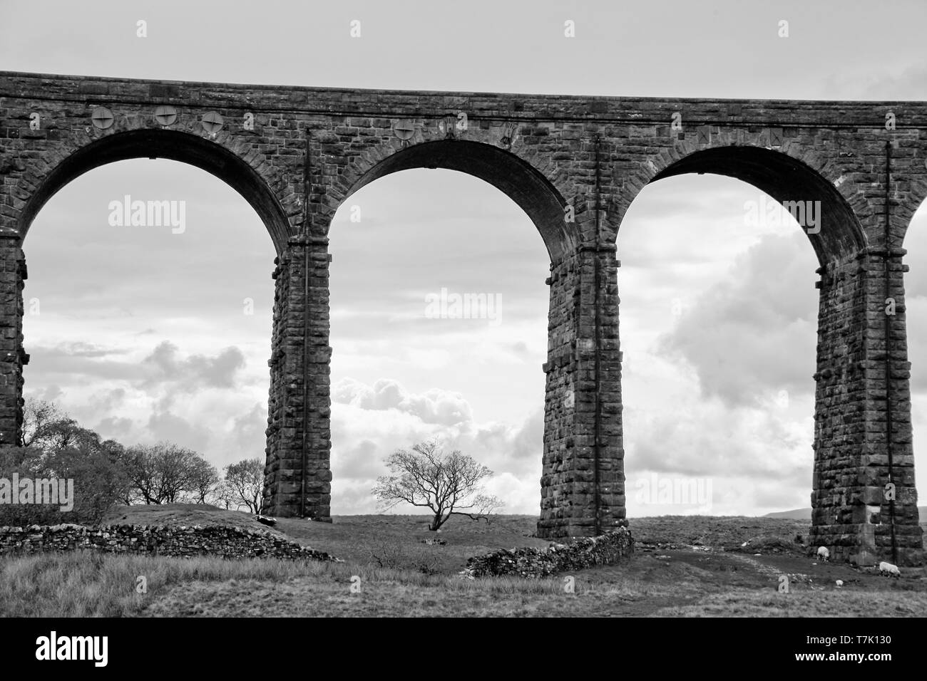 Ribblehead Viaduct, Yorkshire Stock Photo - Alamy