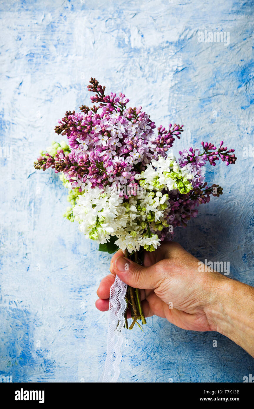 Hand holding lilac hi-res stock photography and images - Alamy