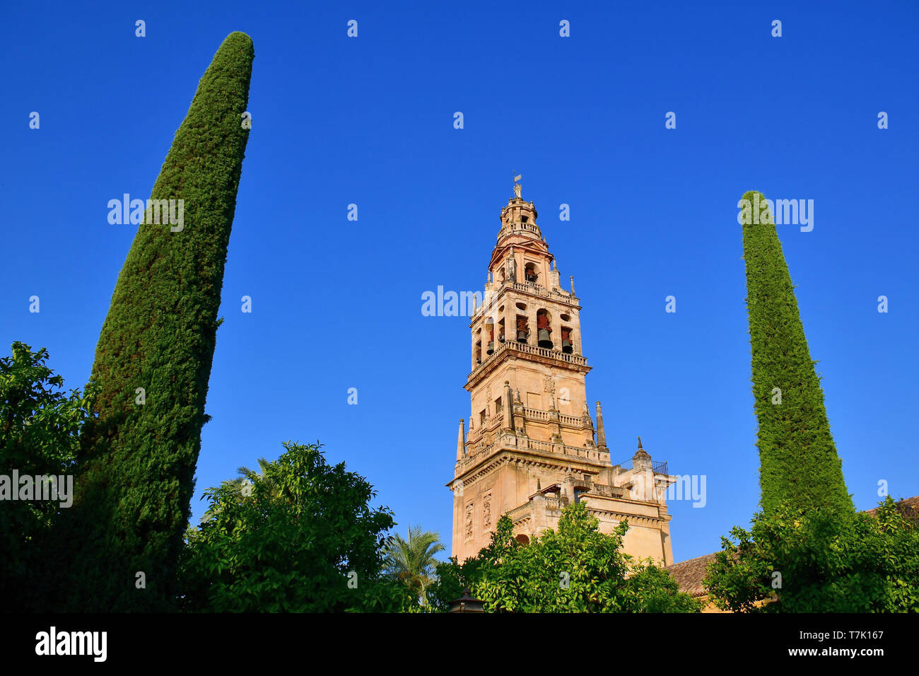 Bell tower from Court of Oranges, Mosque–Cathedral of Córdoba, Mezquita ...
