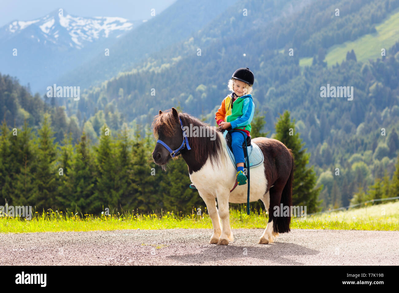 Kids riding pony in the Alps mountains. Family spring vacation on horse ...