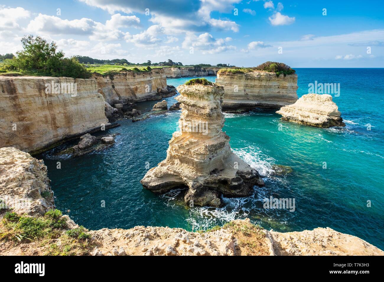 Italy, Apulia, Salento region, Torre Sant'Andrea, its jagged coastline ...