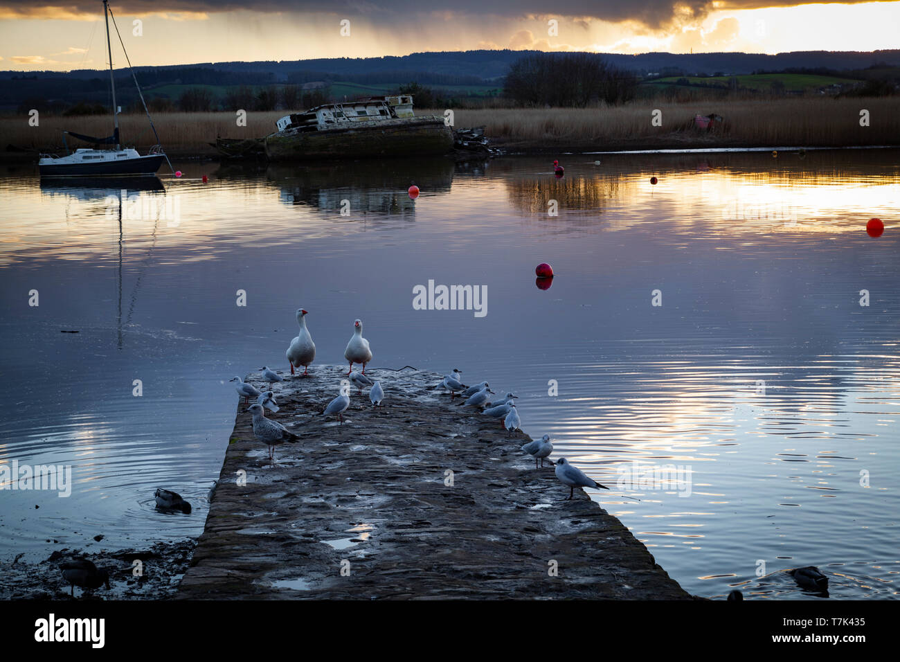 Topsham exeter hi-res stock photography and images - Alamy