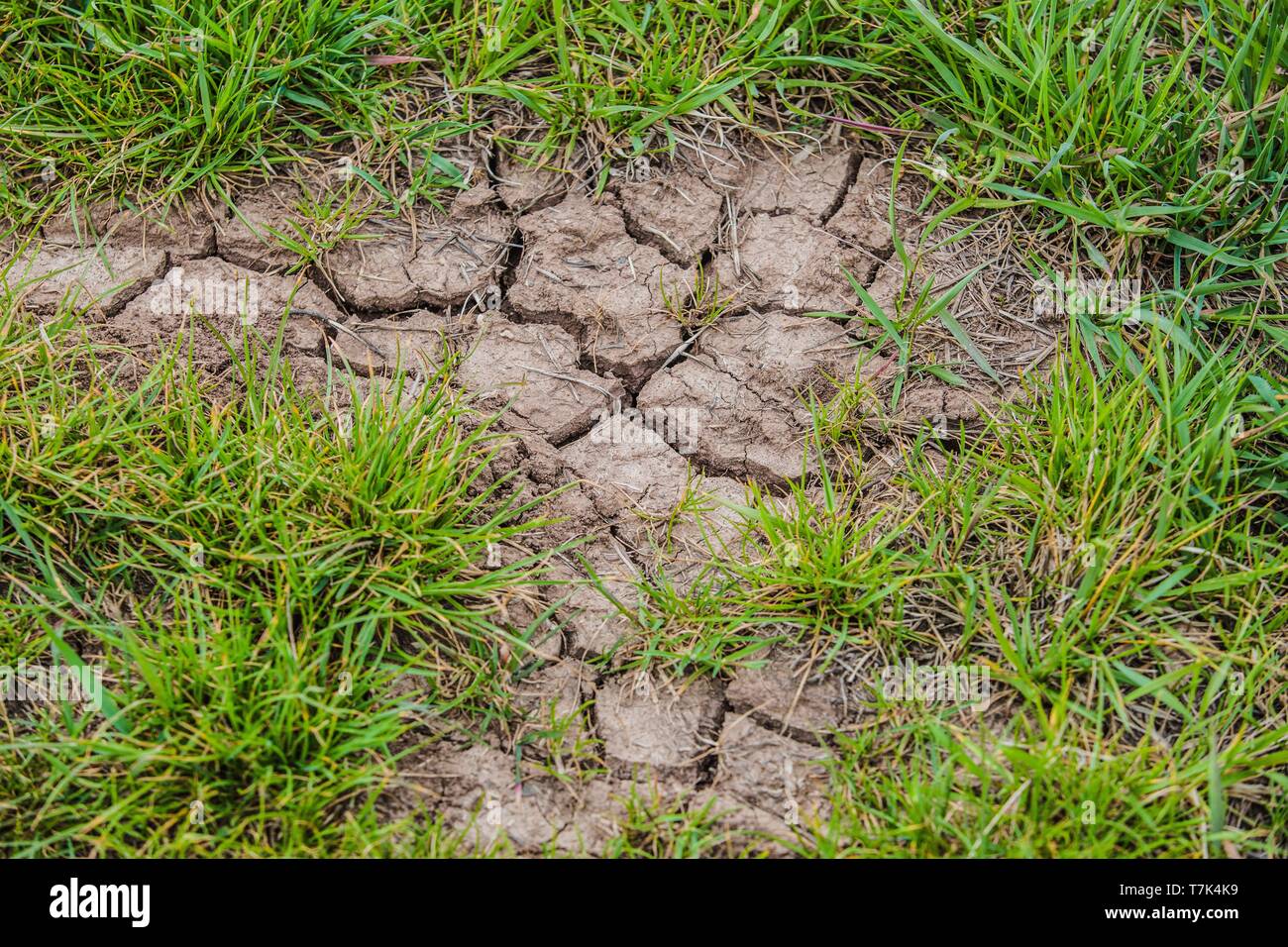 Climate problem hi-res stock photography and images - Alamy