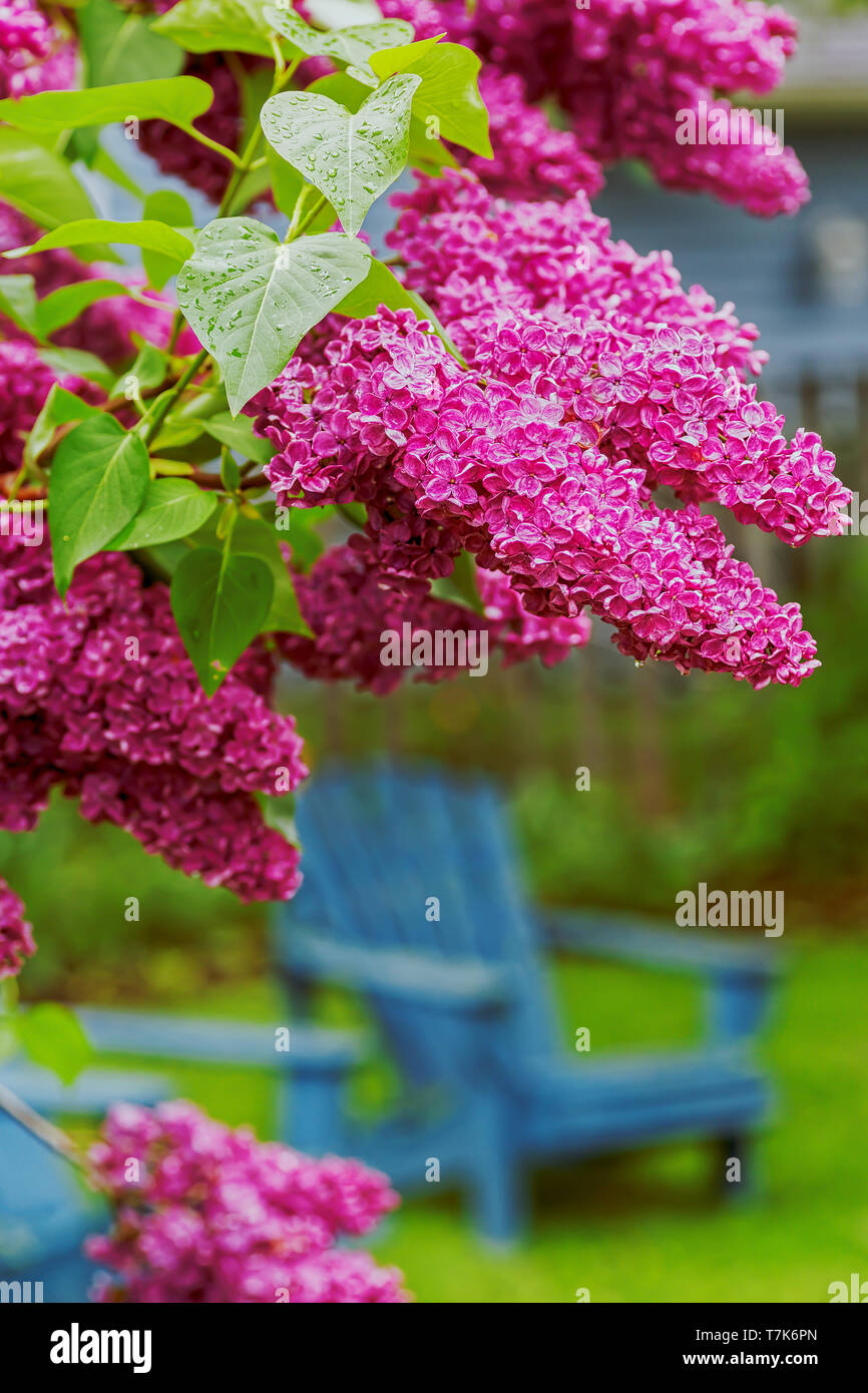 Backyard garden hi-res stock photography and images - Alamy
