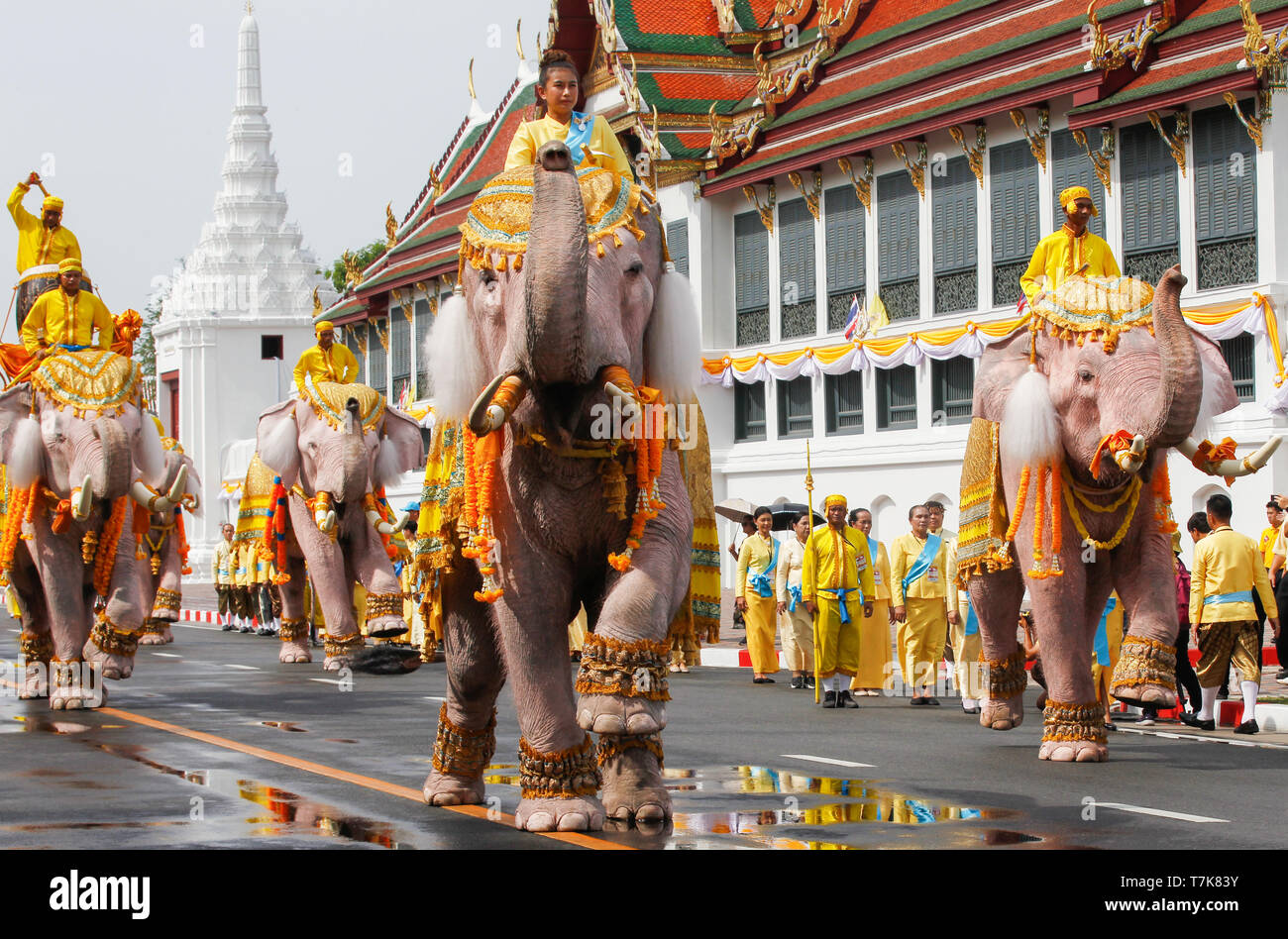 Bangkok, Thailand. 7th May, 2019. Thai mahouts seen riding on elephants ...