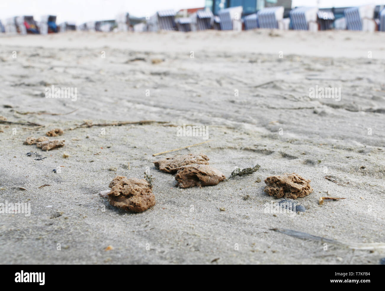 Alluvial material hi-res stock photography and images - Alamy