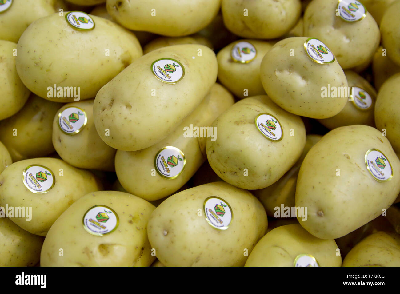 SP - Sao Paulo - 06/05/2019 - APAS Show 2019 - The 35th edition of APAS ...