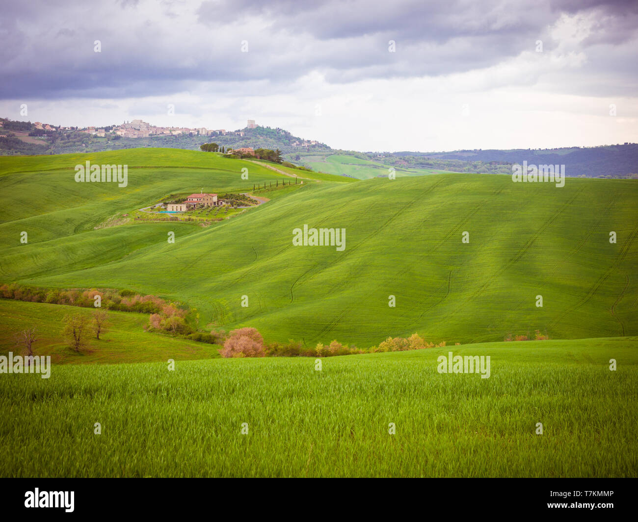 Landscape in spring. Sinuous gorgeous green hills in a cloudy day Stock ...