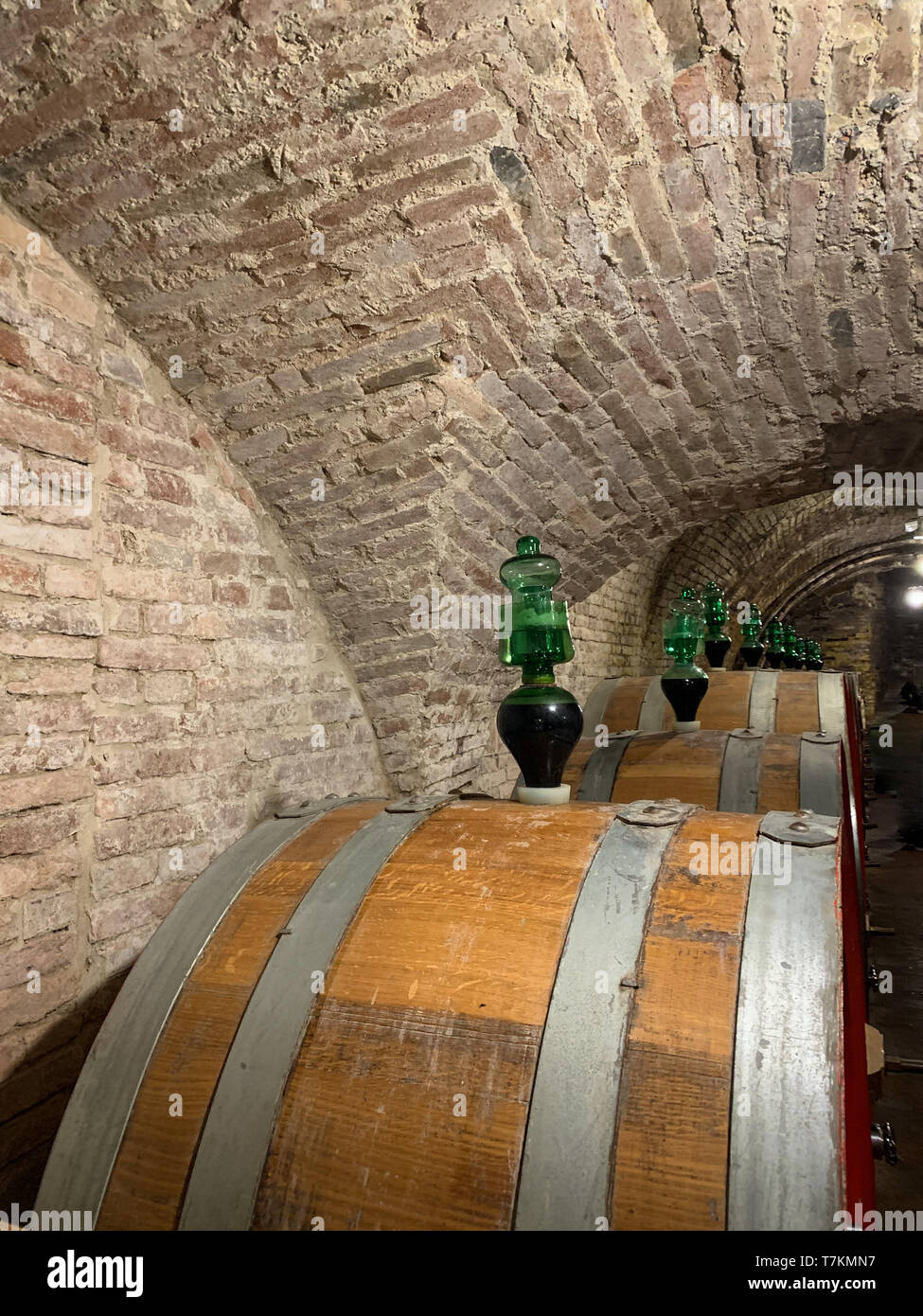 Oak barrels in an old Italian underground wine cellar Stock Photo - Alamy