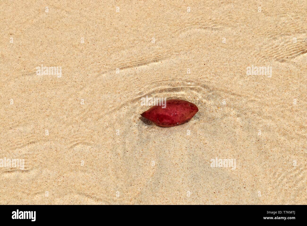Close up surface of floating water with ripples and waves and some ...