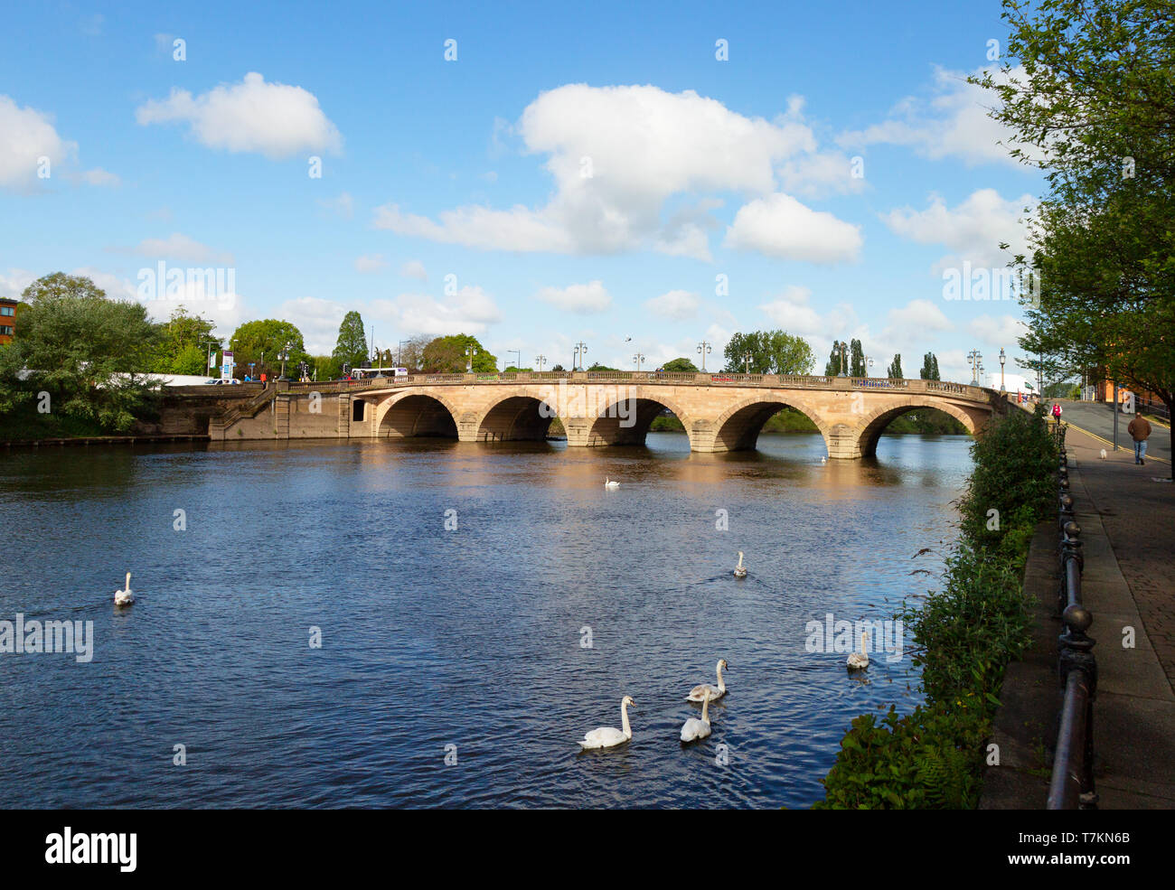 Worcester Bridge - Swans from the swannery at the 18th century bridge ...