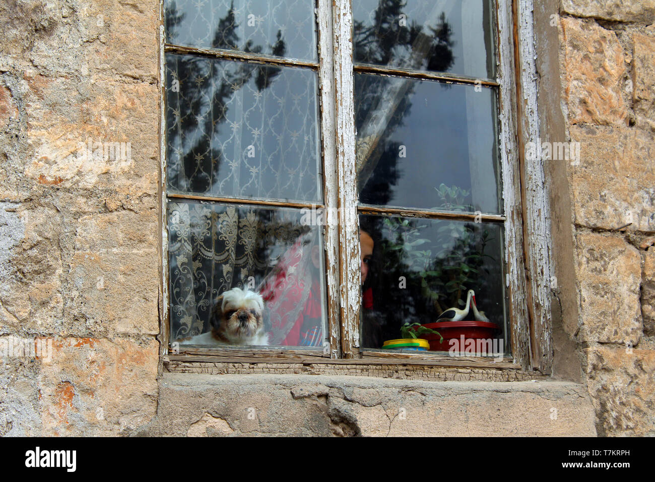 Child neglect window hi-res stock photography and images - Alamy