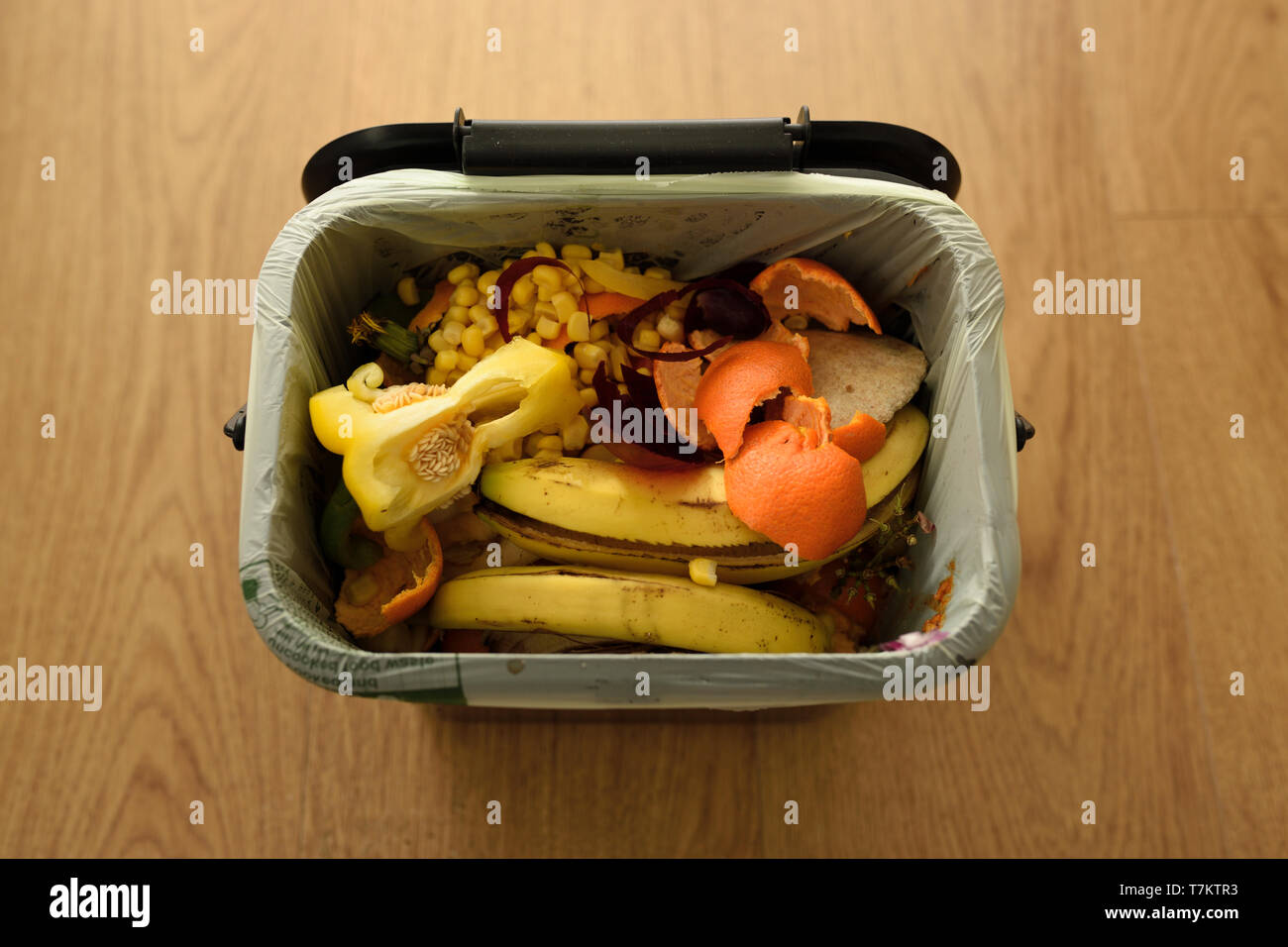 Food waste in biodegradable bag kitchen waste for compositing lid open ...