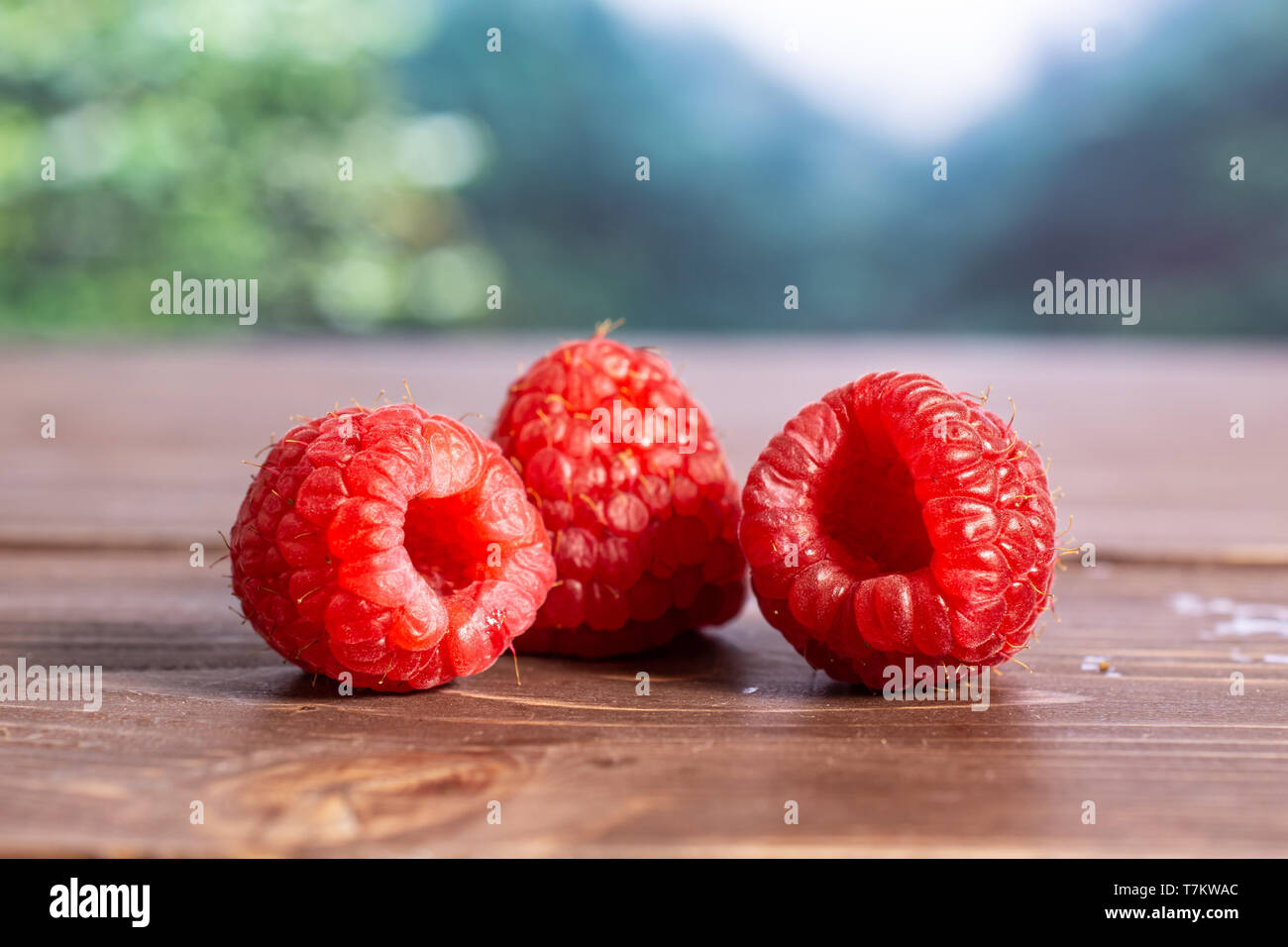 Group of three whole fresh red raspberry in a foggy jungle mountains ...