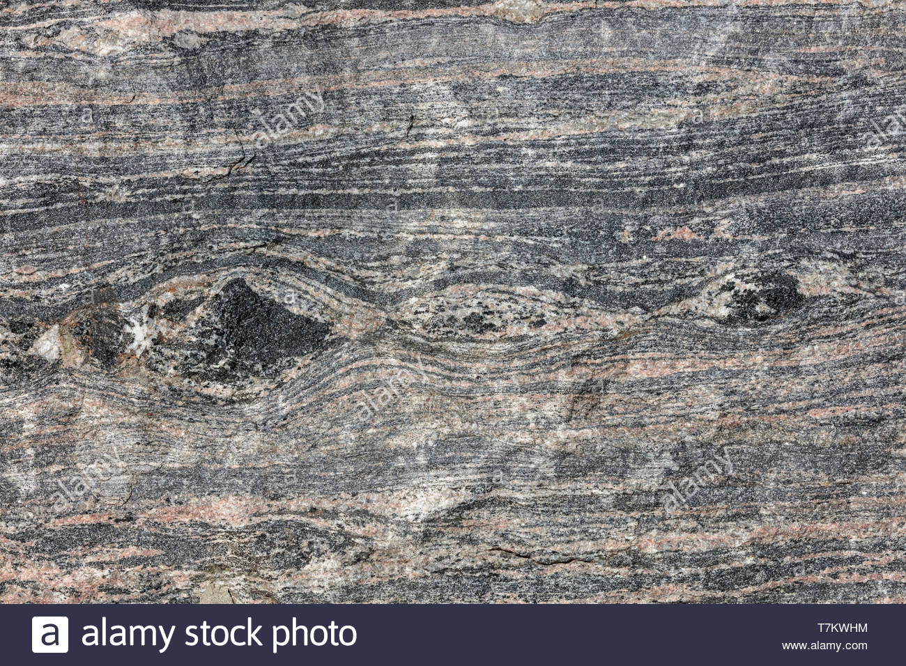 Banding High Resolution Stock Photography and Images - Alamy