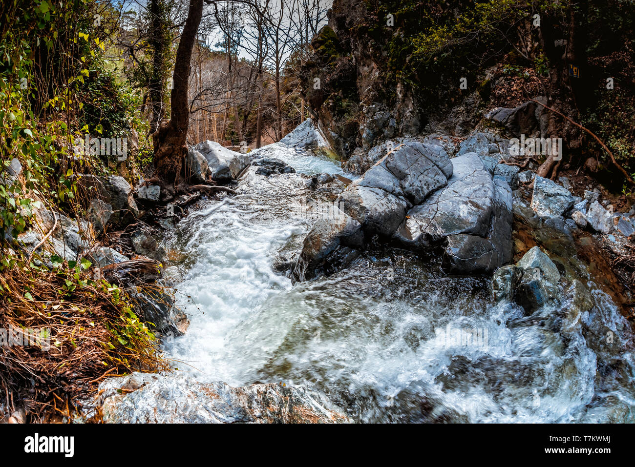 River of Trooditissa (Diplos potamos) which forms Chantara waterfall ...