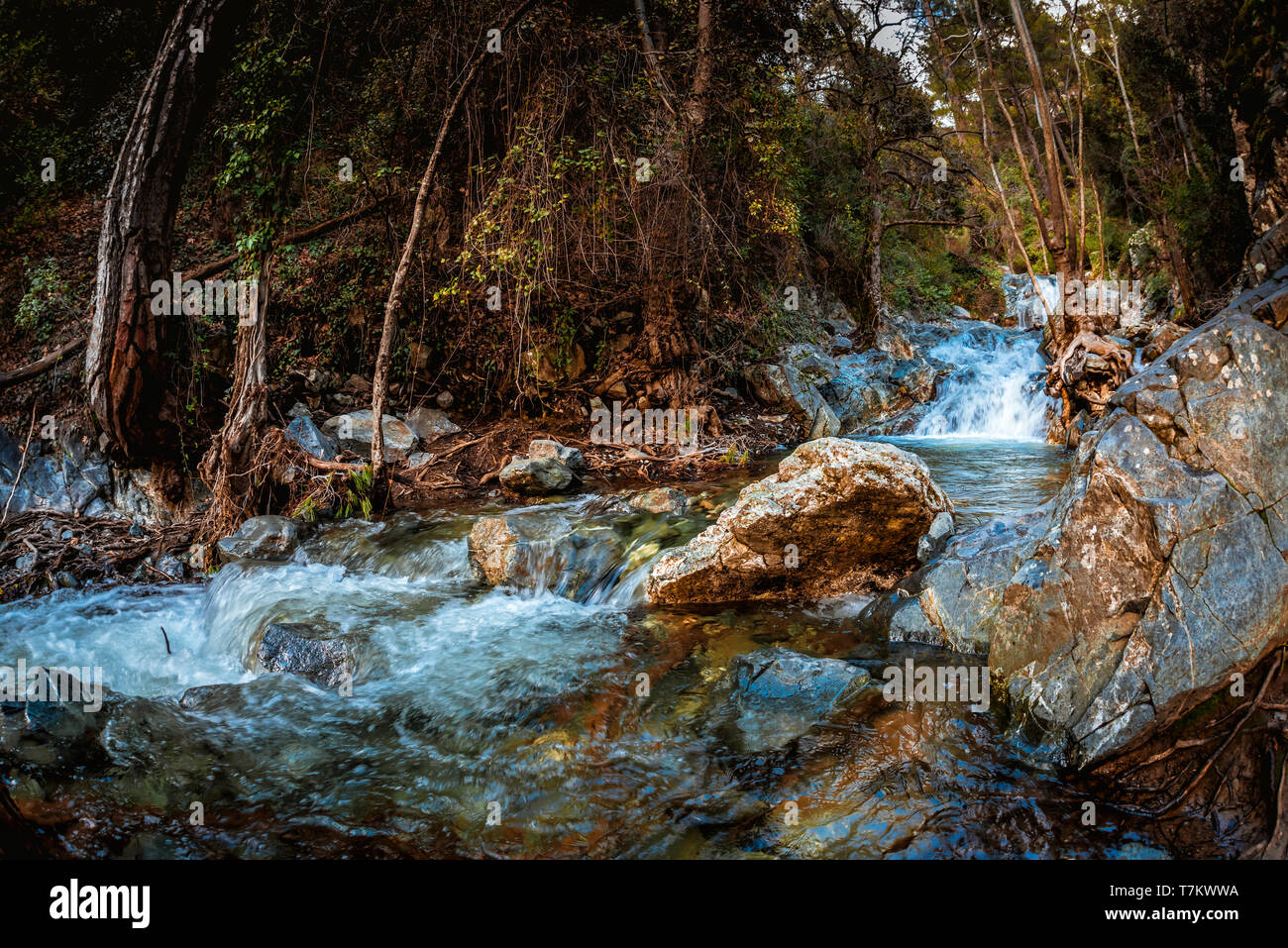 River of Trooditissa (Diplos potamos) which forms Chantara waterfall ...