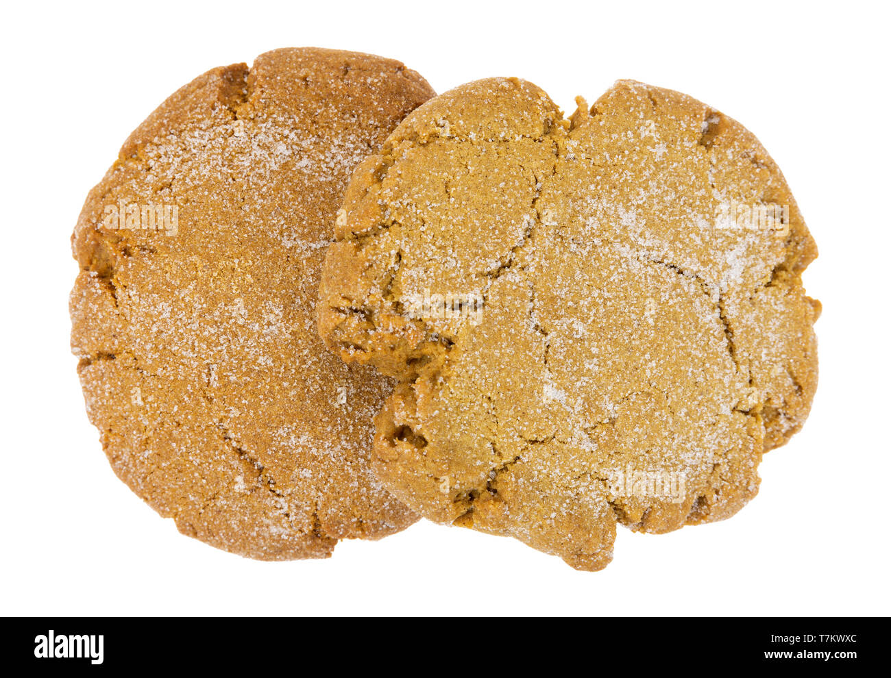 Overhead view of two molasses homemade cookies isolated on a white ...