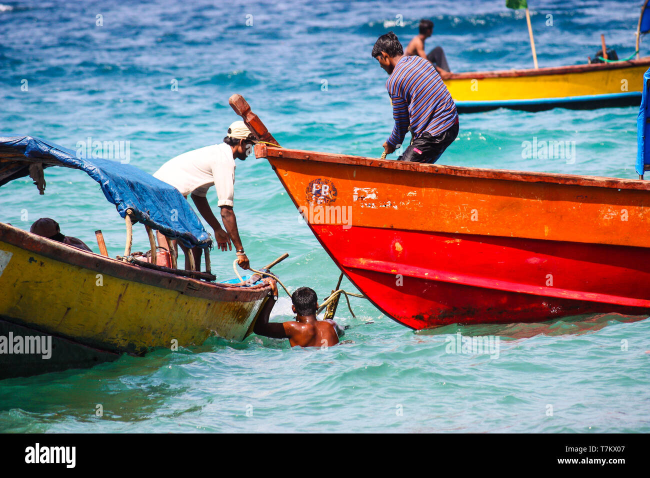 Andaman islands india fish hi-res stock photography and images - Alamy