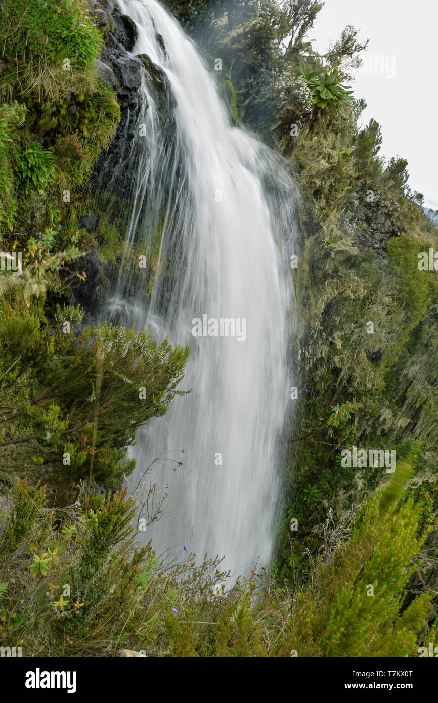 Waterfalls in the mountain landscapes of Mount Kenya, Kenya Stock Photo ...