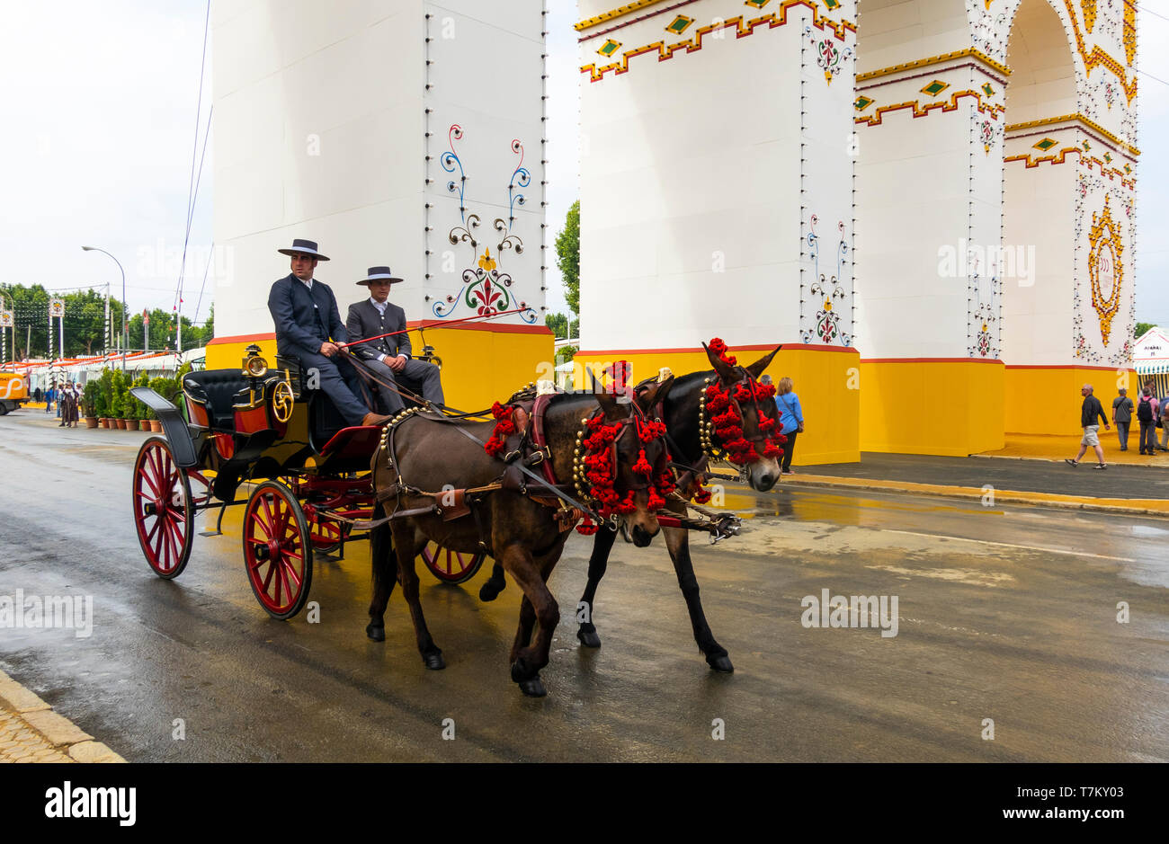 Two mules hi-res stock photography and images - Alamy