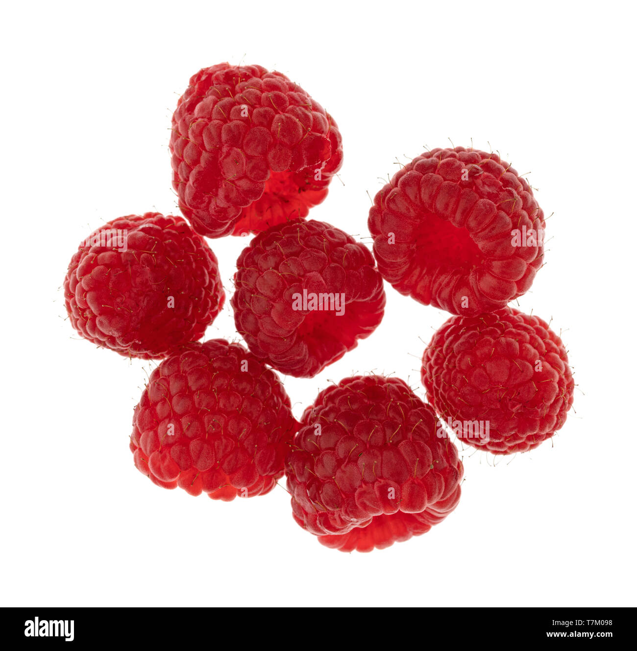 Overhead view of a group of freshly picked red raspberries isolated on ...
