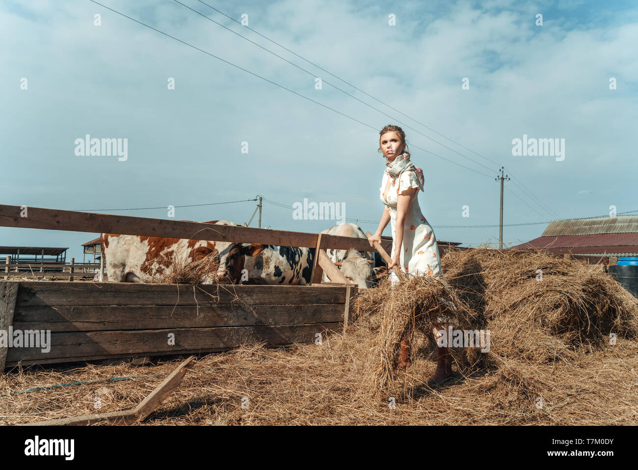 Female cattle rancher hi-res stock photography and images - Alamy