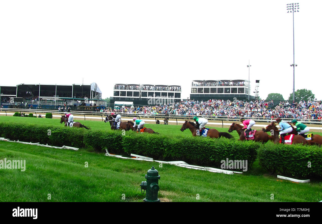 Sport racing action running horse jockey whip hi-res stock photography ...