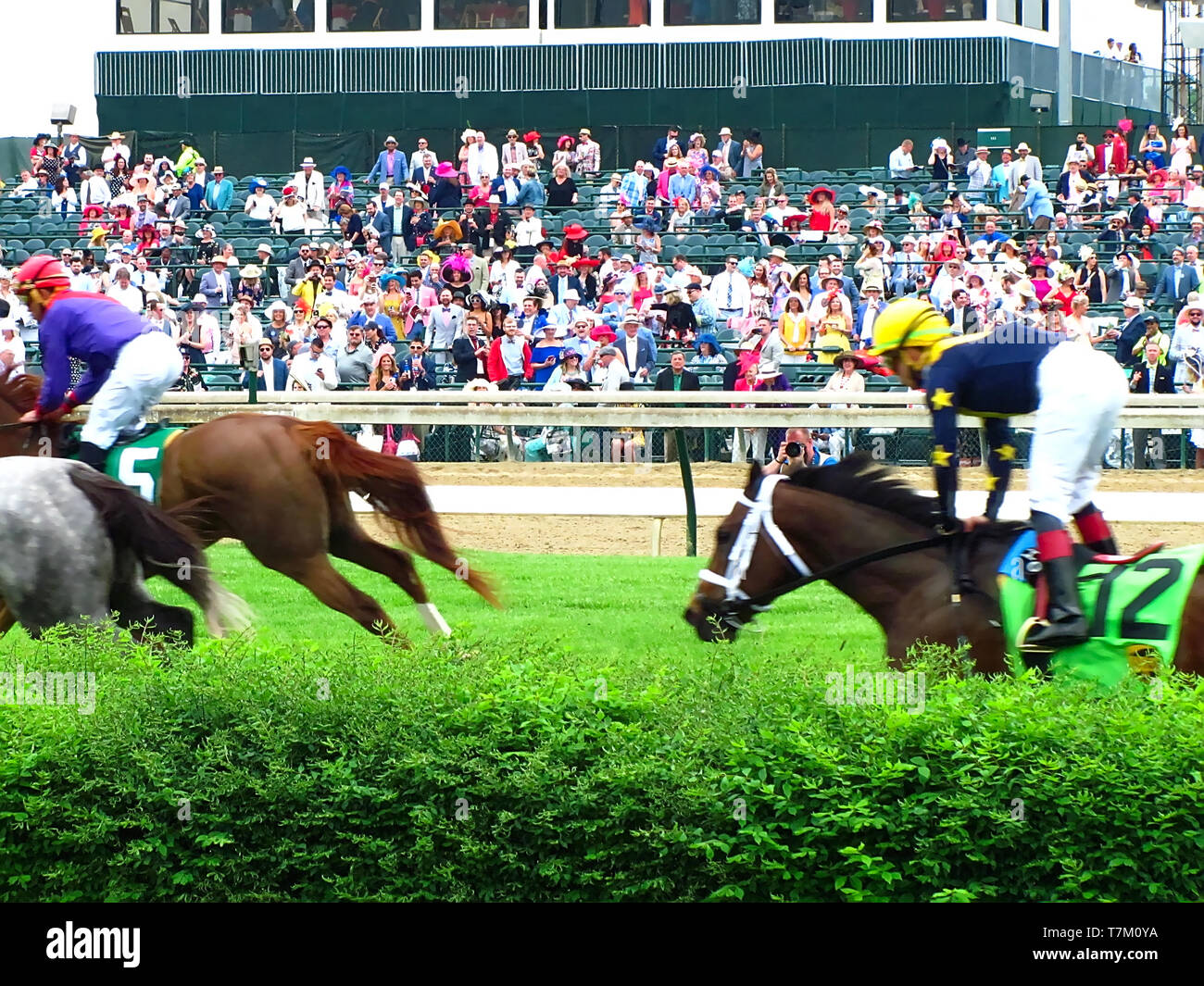 145th kentucky derby hi-res stock photography and images - Alamy