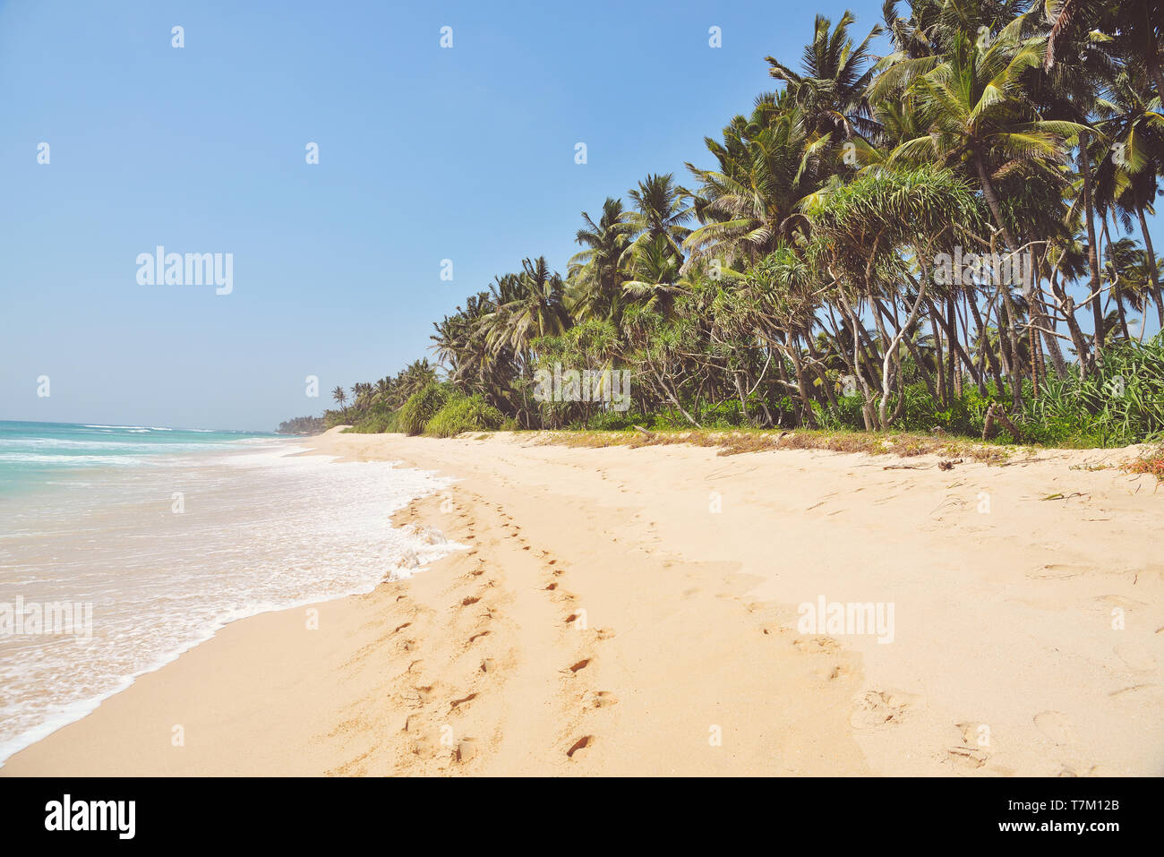 beautiful landscape with beach Stock Photo - Alamy