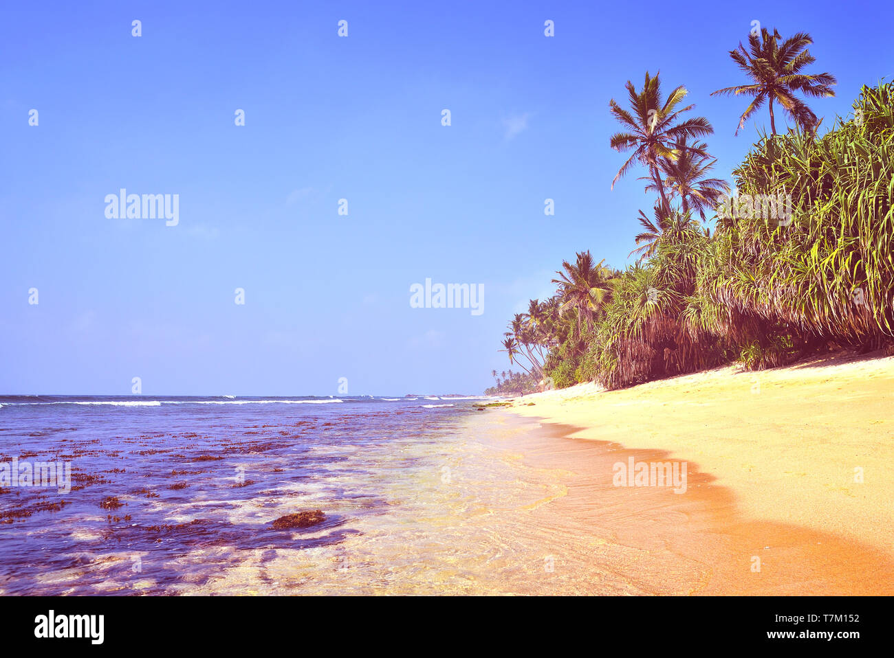 Indian Ocean coastline Stock Photo - Alamy