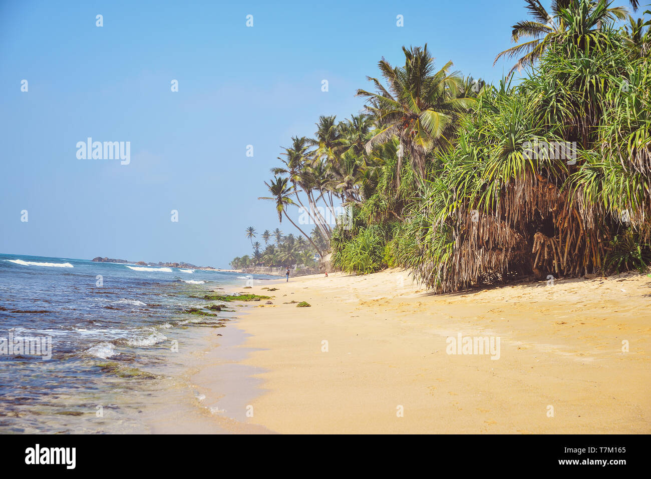beautiful landscape with beach Stock Photo - Alamy