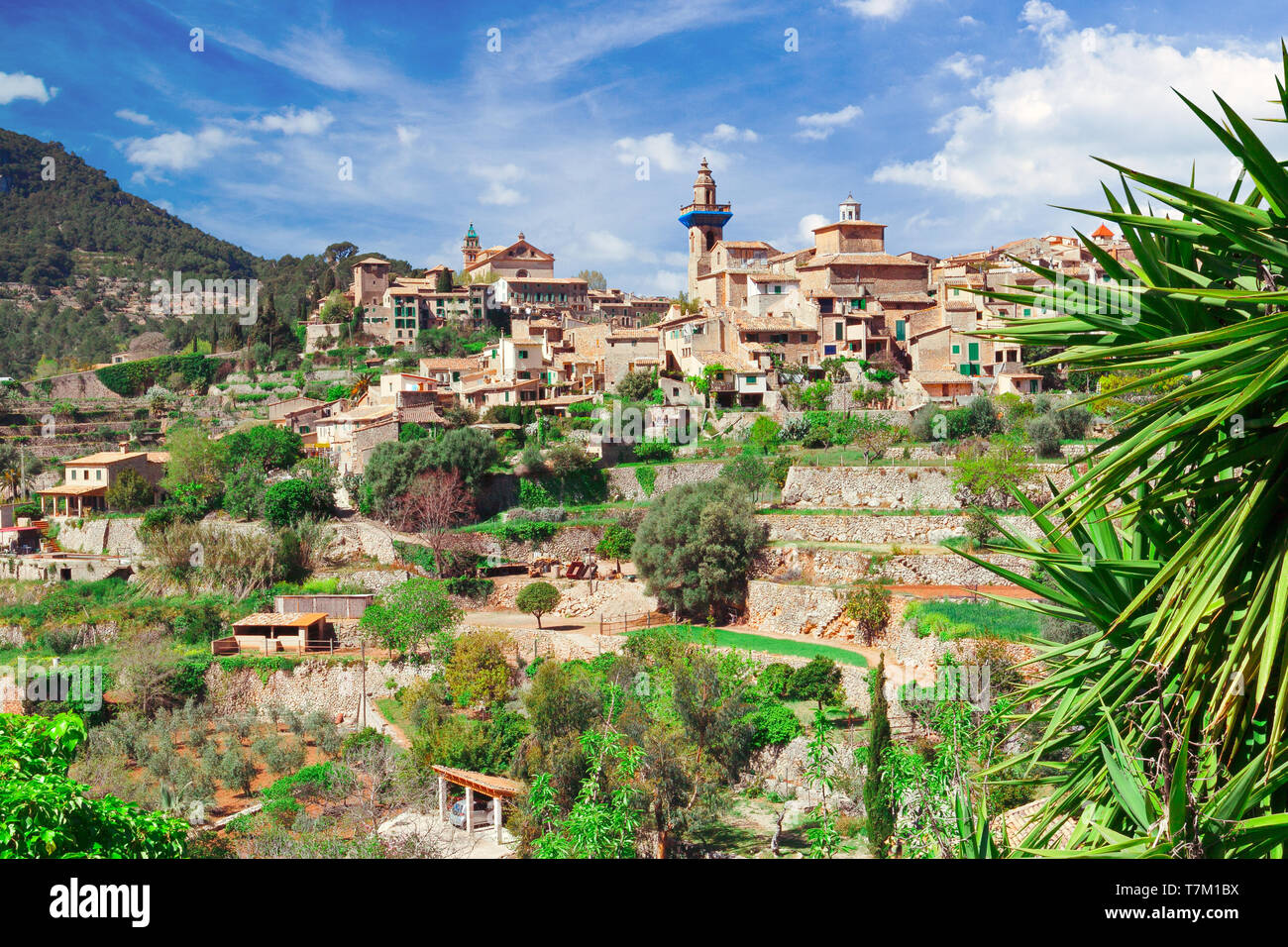 Spain mallorca traditional village hi-res stock photography and images ...