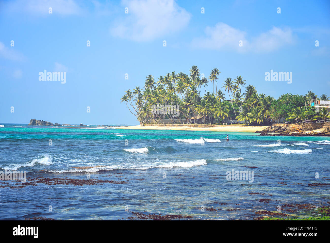 Indian ocean life hi-res stock photography and images - Alamy
