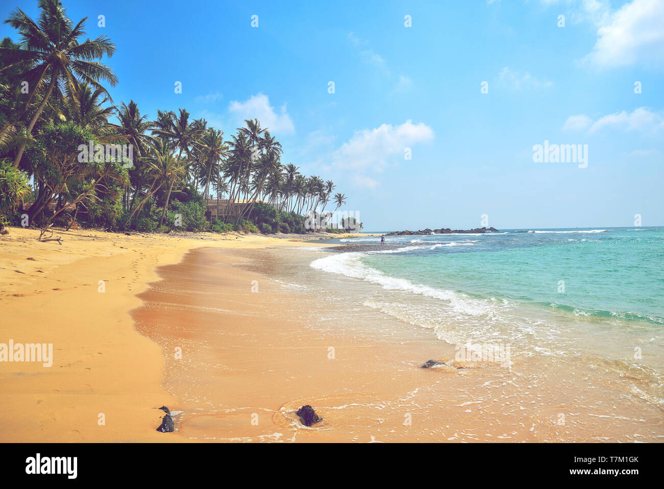 Tropical coastline ocean hi-res stock photography and images - Alamy