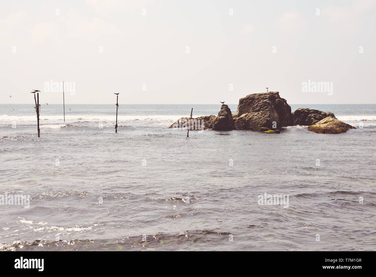 Indian ocean marine life hi-res stock photography and images - Alamy