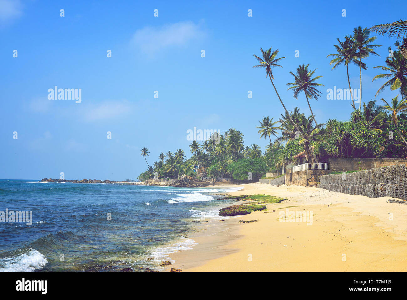 Indian ocean life hi-res stock photography and images - Alamy