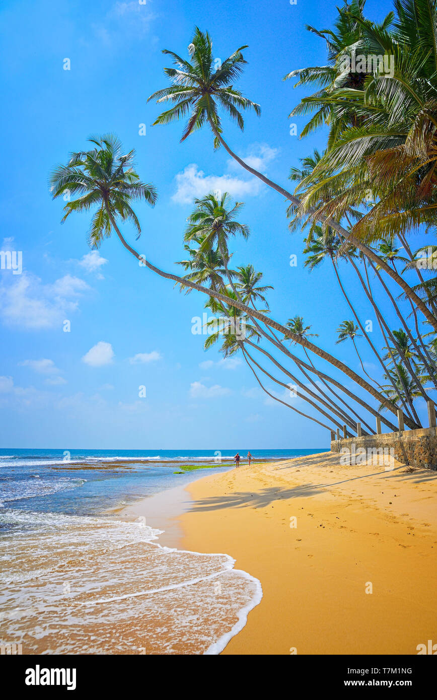 Landscape beach hi-res stock photography and images - Alamy